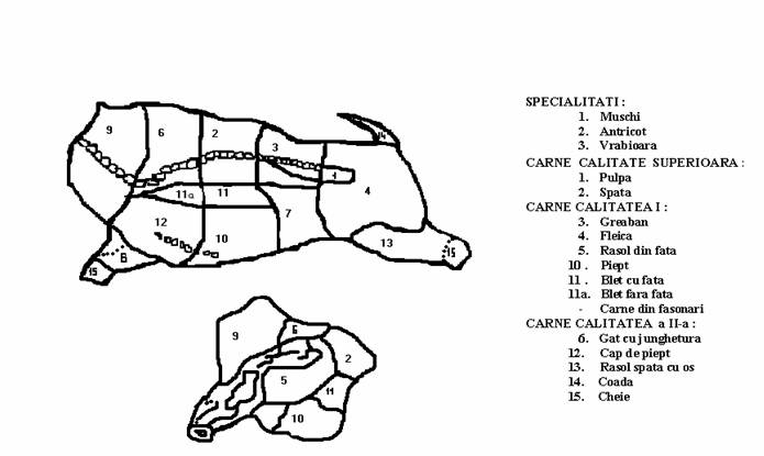Carnea si subprodusele de carne