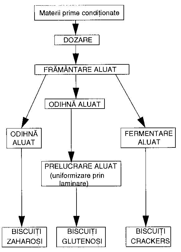 Procesul tehnologic de fabricare a biscuitilor