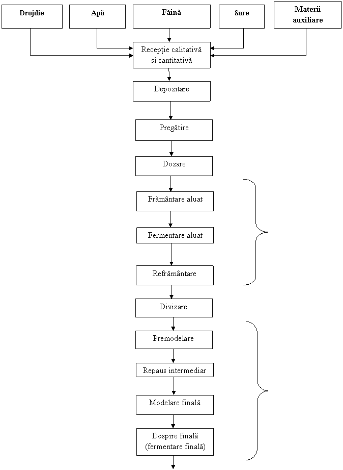 IMPLEMENTAREA SISTEMULUI HACCP PENTRU CORNURI CU LAPTE