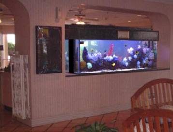 Constructia unui acvariu - Amenajarea acvariului