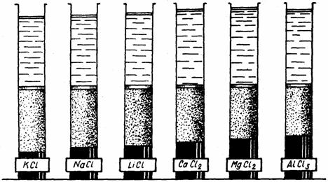 FIZIOLOGIA CELULEI VEGETALE