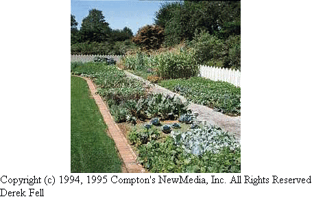 Gradina si gradinaritul