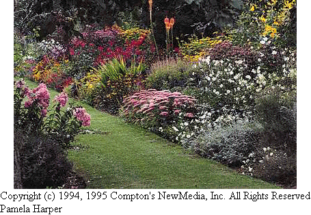 Gradina si gradinaritul