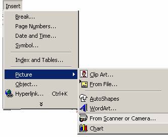 Inserarea imaginilor