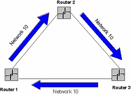 Unicast Routing Principles