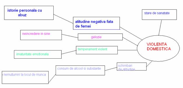 Proiect de cercetare de grup la Tehnici de cercetare si redactare in ...