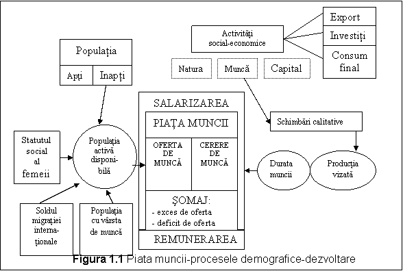 Conceptul si trasaturile pietei muncii