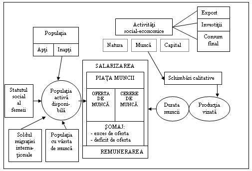 Consideratii generale privind piata muncii