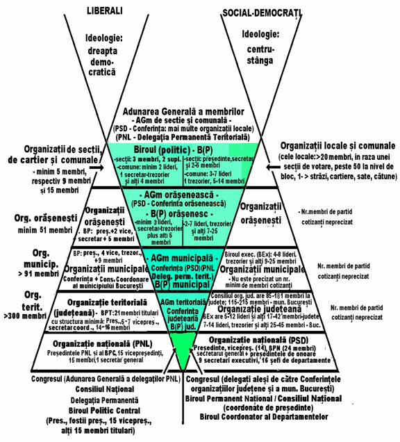 Partidele politice din Romania. Structuri de organizare si de management