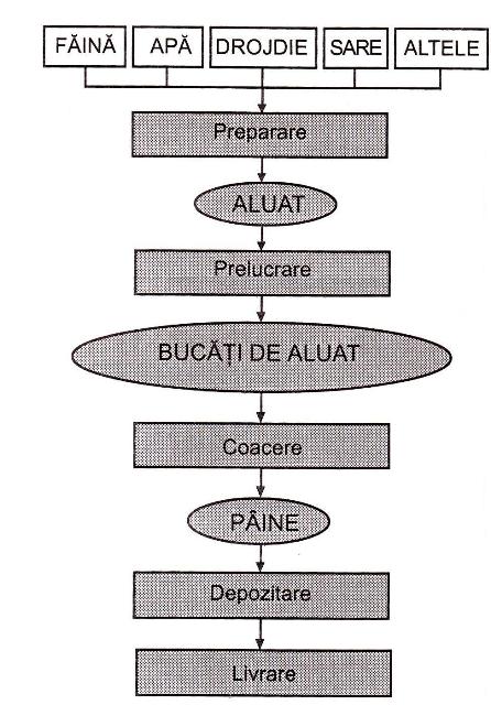 Procesul tehnologic de fabricare