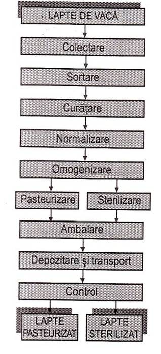 Procesul tehnologic de fabricare