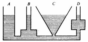 BIOMECANICA LICHIDELOR; HEMODINAMICA