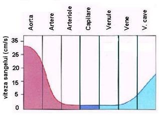 BIOMECANICA LICHIDELOR; HEMODINAMICA