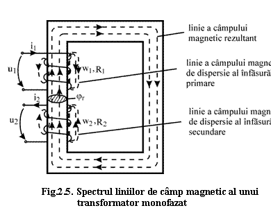 Modele matematice simplificate