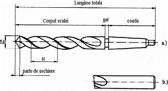 GAURIREA (BURGHIEREA)