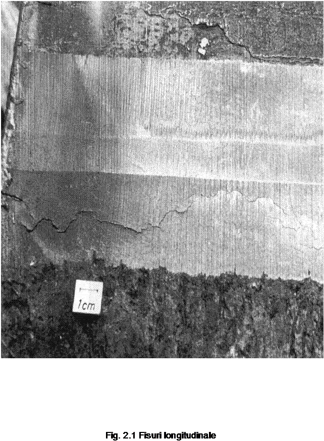 Prezentarea defectelor care apar in structura semifabricatelor turnate ...