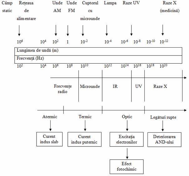 Impactul undelor electromagnetice de inalta frecventa asupra mediului ...